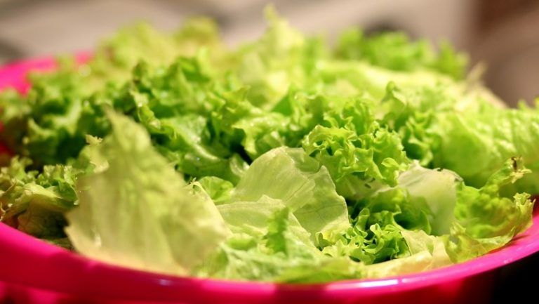 Receta de Ensalada de Lechuga - RECETAS CHILENAS 🥇【 2025 】🍽️